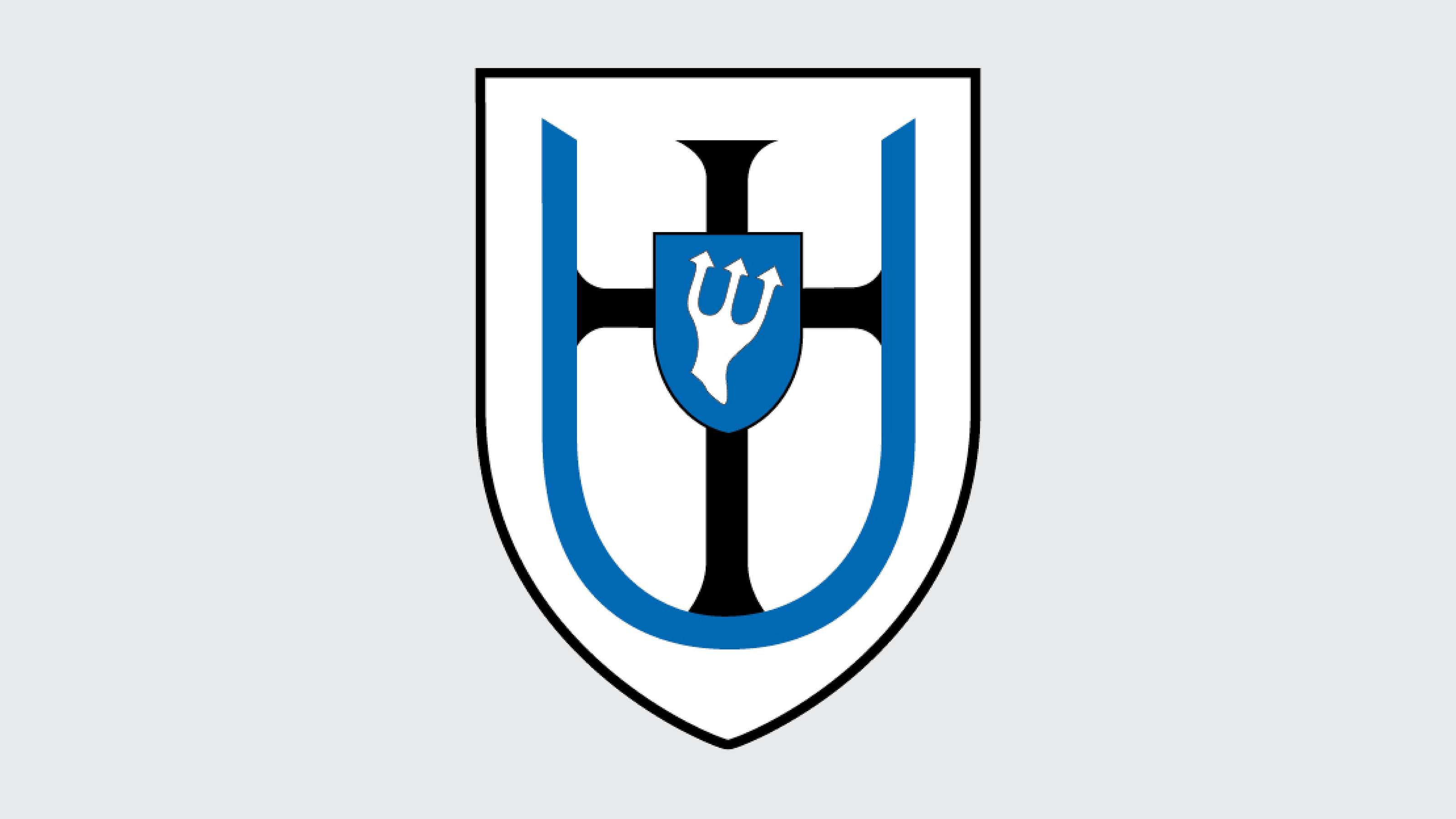 Support Squadron support-squadron