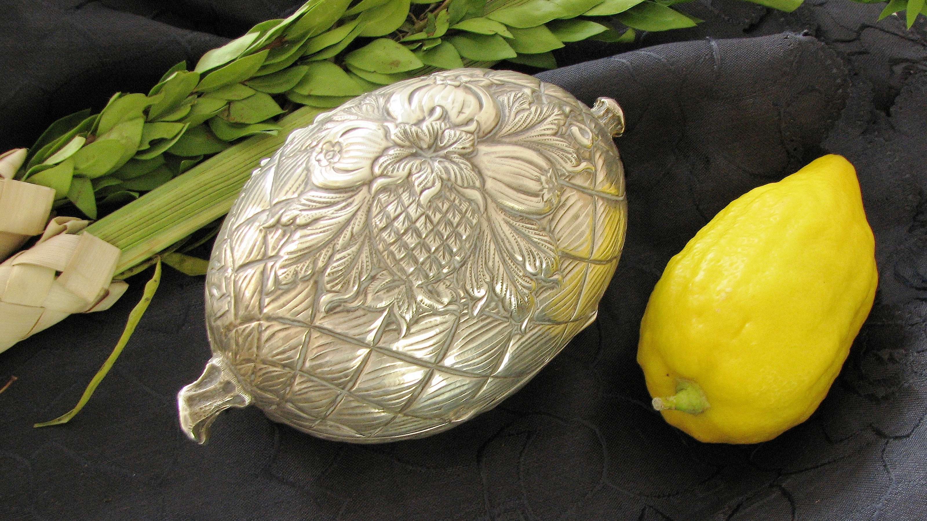 Militärrabbinat feiert Laubhüttenfest