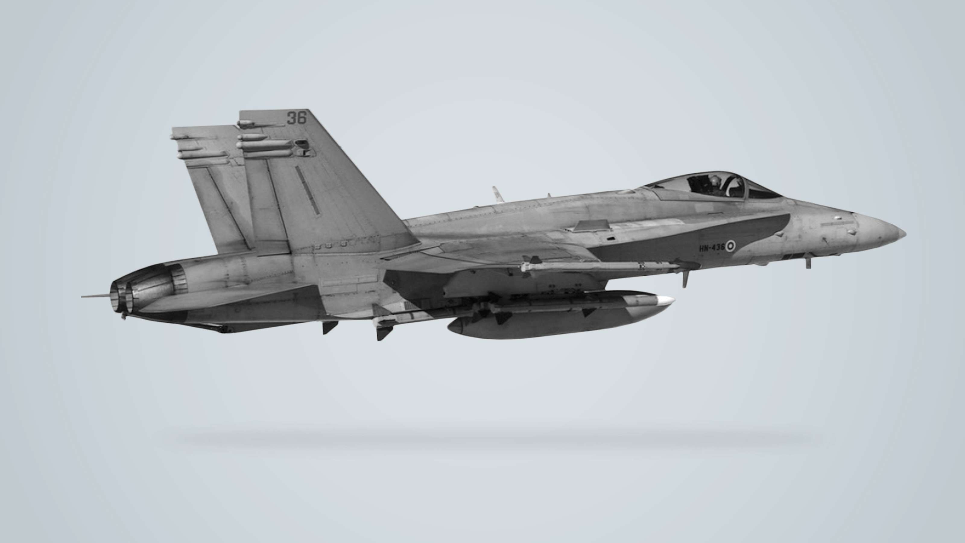 Boeing F/A-18C/D Hornet