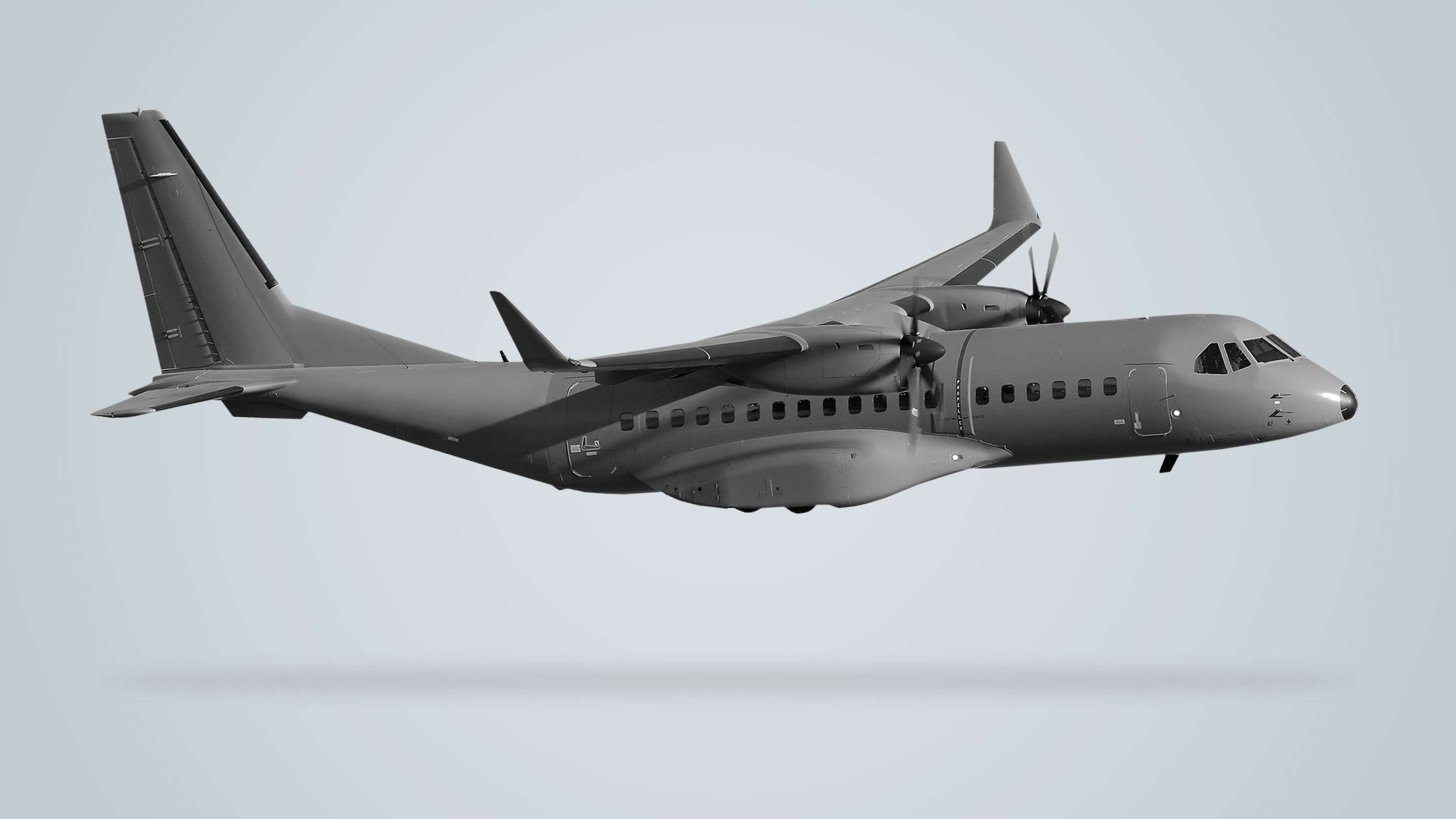 C295M