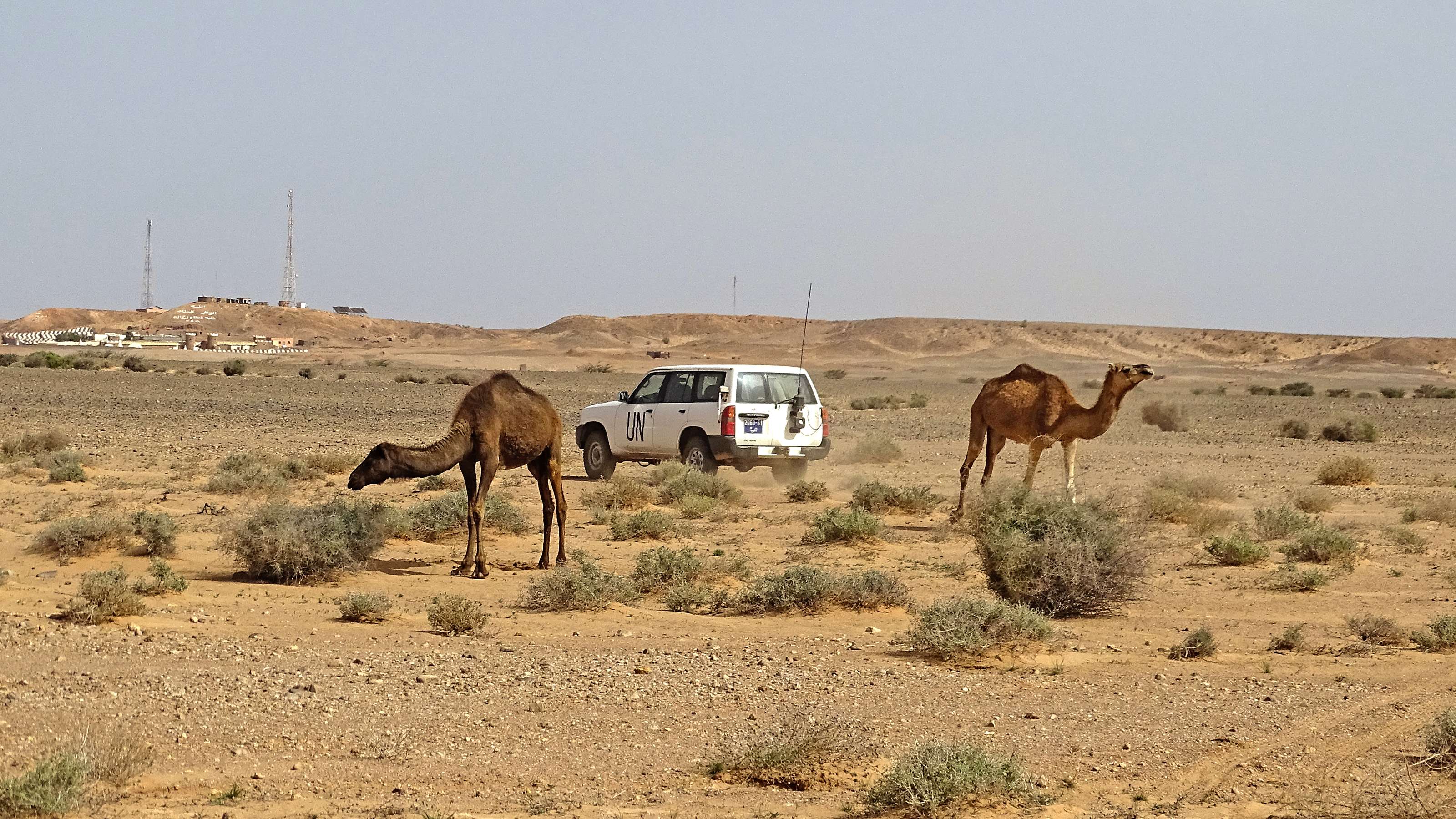 Unbewaffnet: Als Militärbeobachter in der Westsahara