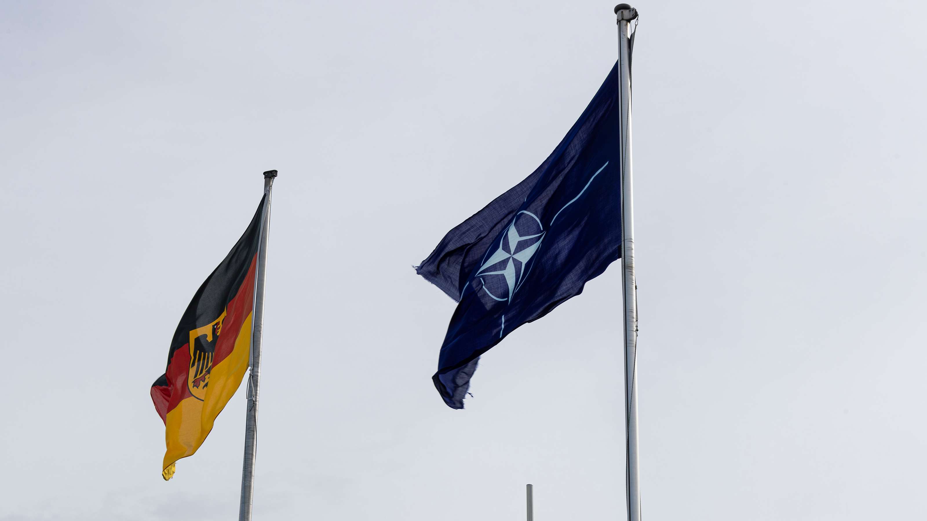 Western Alliance in the Fight against the Occasus Alliance
