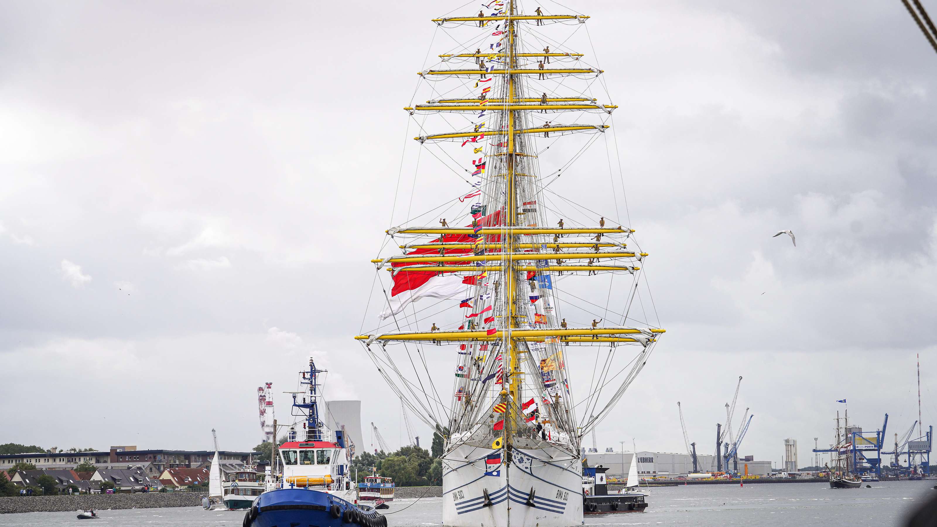 32. Hanse Sail in Rostock: Die Marine-Highlights